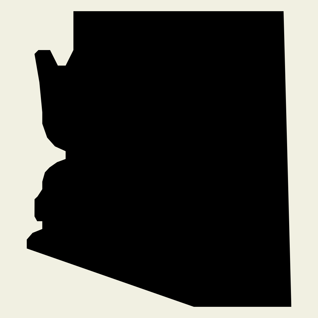 Arizona – Shells Vintage Hat Co.