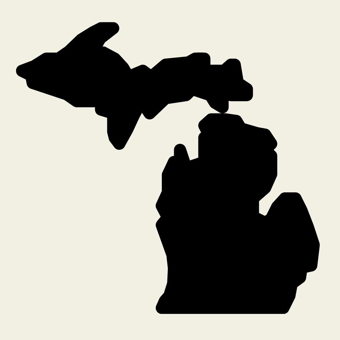 Michigan Snapback Collection | Retro State & City Sports Hats – Shells ...